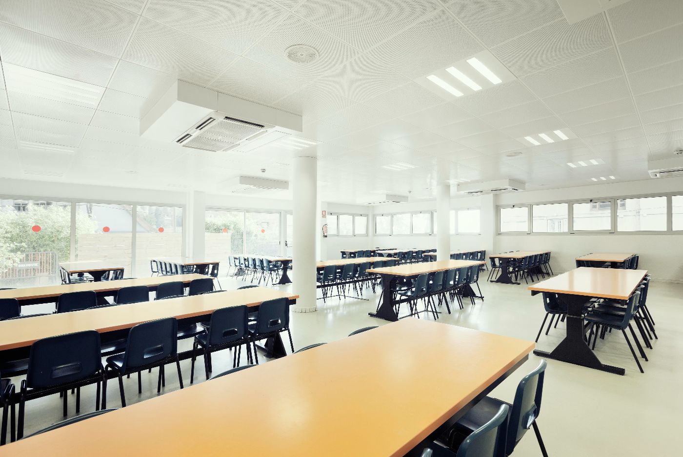 Colegio Oak House School de Barcelona | Opiniones y Precios 2023 - Micole