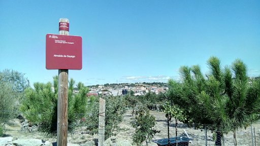 Colegio Matilde Ledesma Martín en Almeida de Sayago | Opiniones y ...