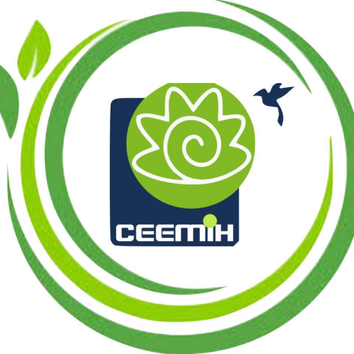 Colegio Centro De Estudios Merida en Mérida | Opiniones y Precios 2024