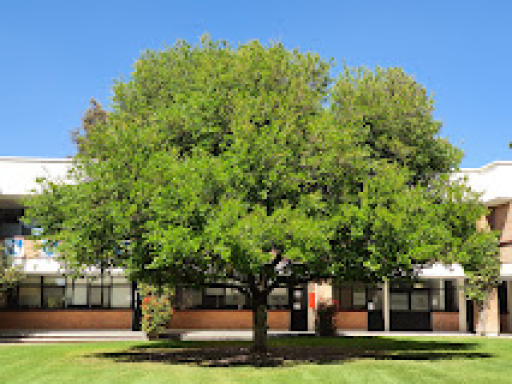 Centro Escolar El Encino en Aguascalientes | Opiniones y Costos 2025