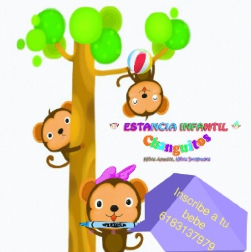 Estancia infantil Changuitos en Durango | Opiniones y Costos 2025