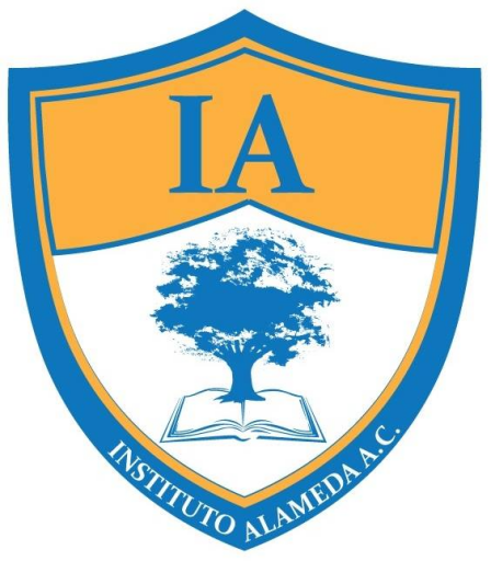 Instituto Alameda en Rincón de Romos | Opiniones y Costos 2025