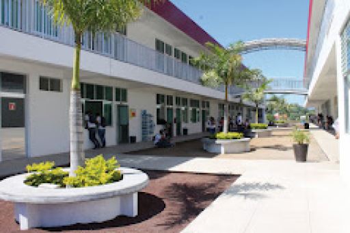 Universidad Jose Marti en Colima | Opiniones y Costos 2025