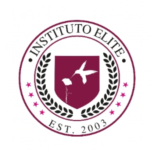 Logotipo Del Instituto Integral Reafirman INE Y Secretaría Ejecutiva